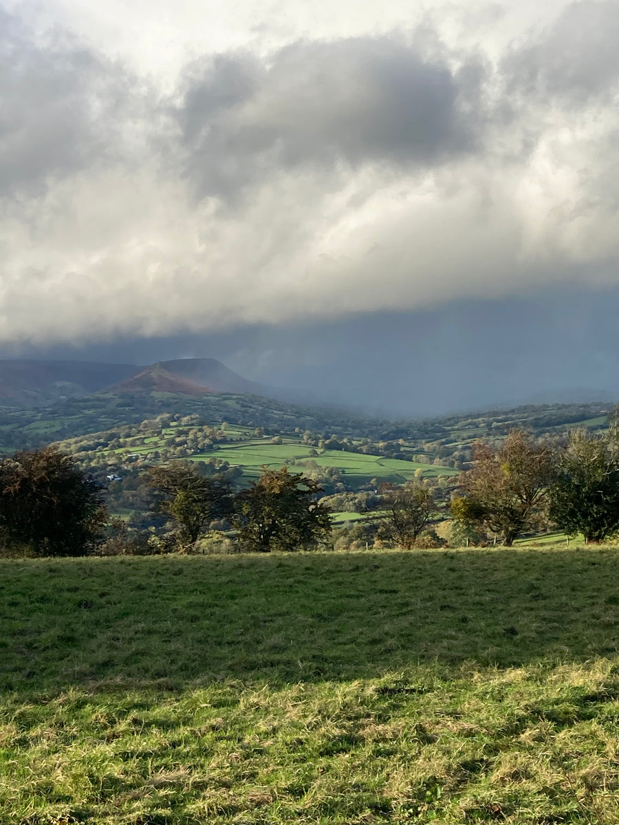 Full Day courses at Chapel House Farm, Crawsall – Forage Fine Foods